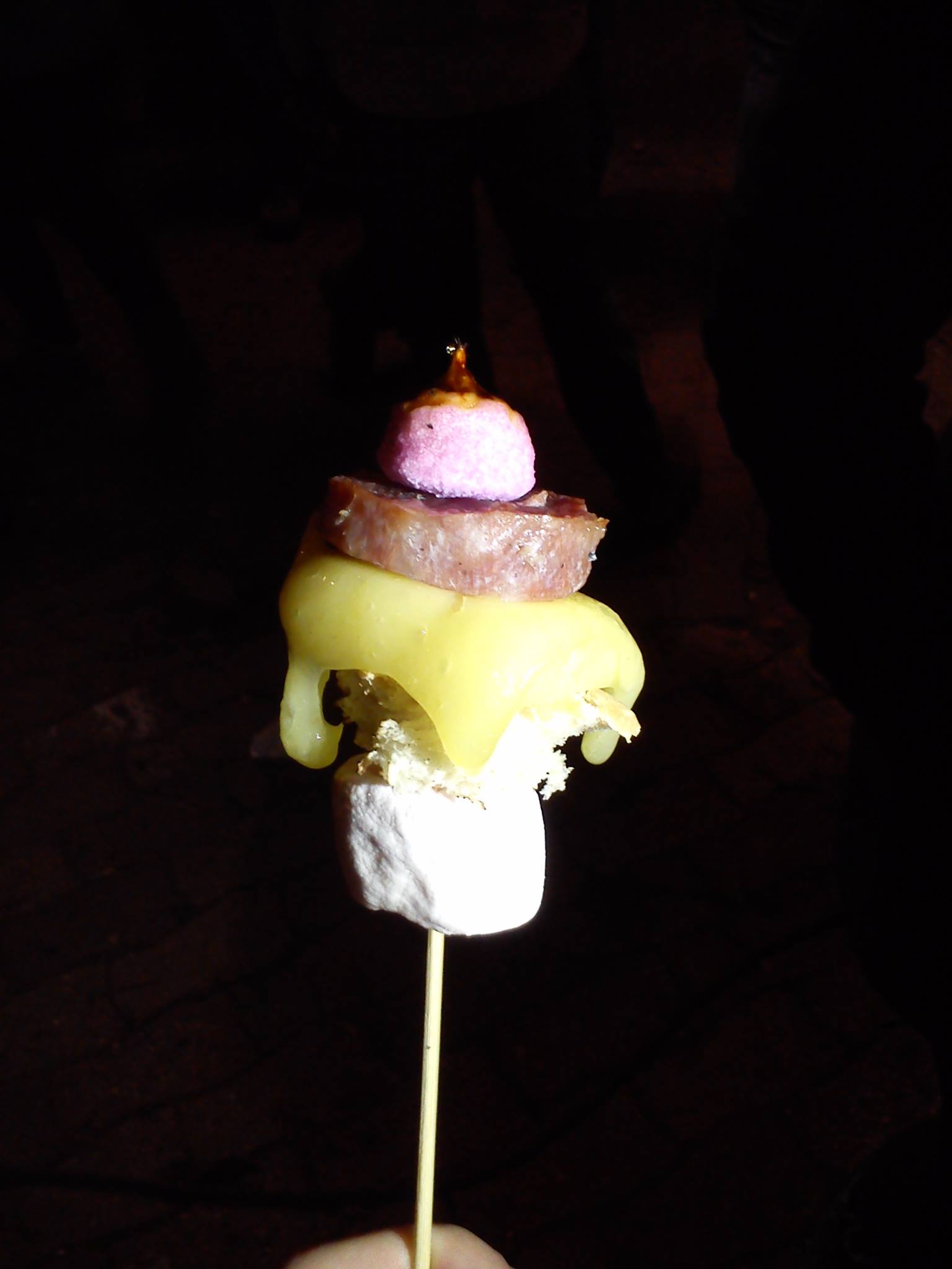 Comment griller parfaitement ses chamallows ? — LaToileScoute