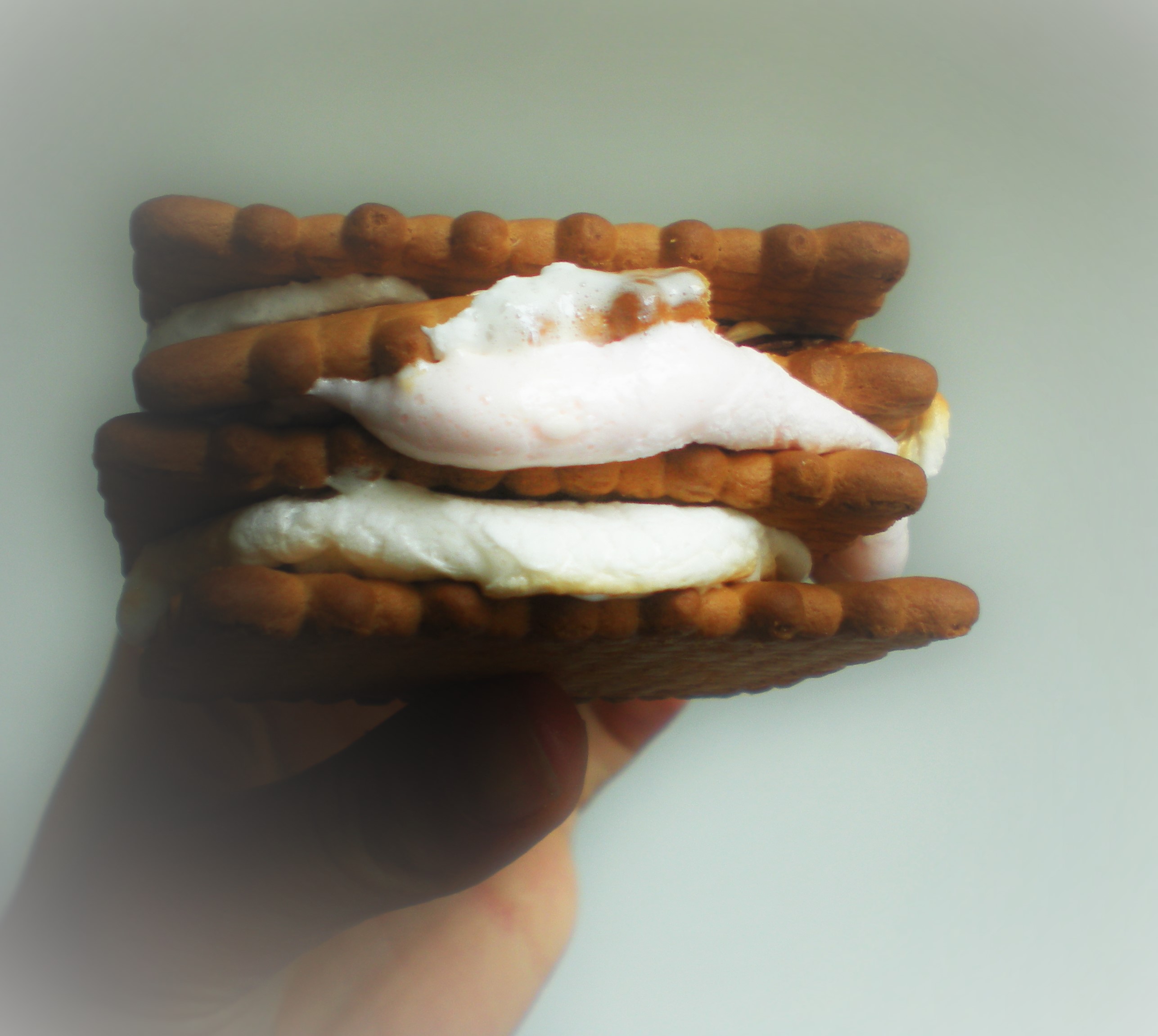 Comment griller parfaitement ses chamallows ? — LaToileScoute