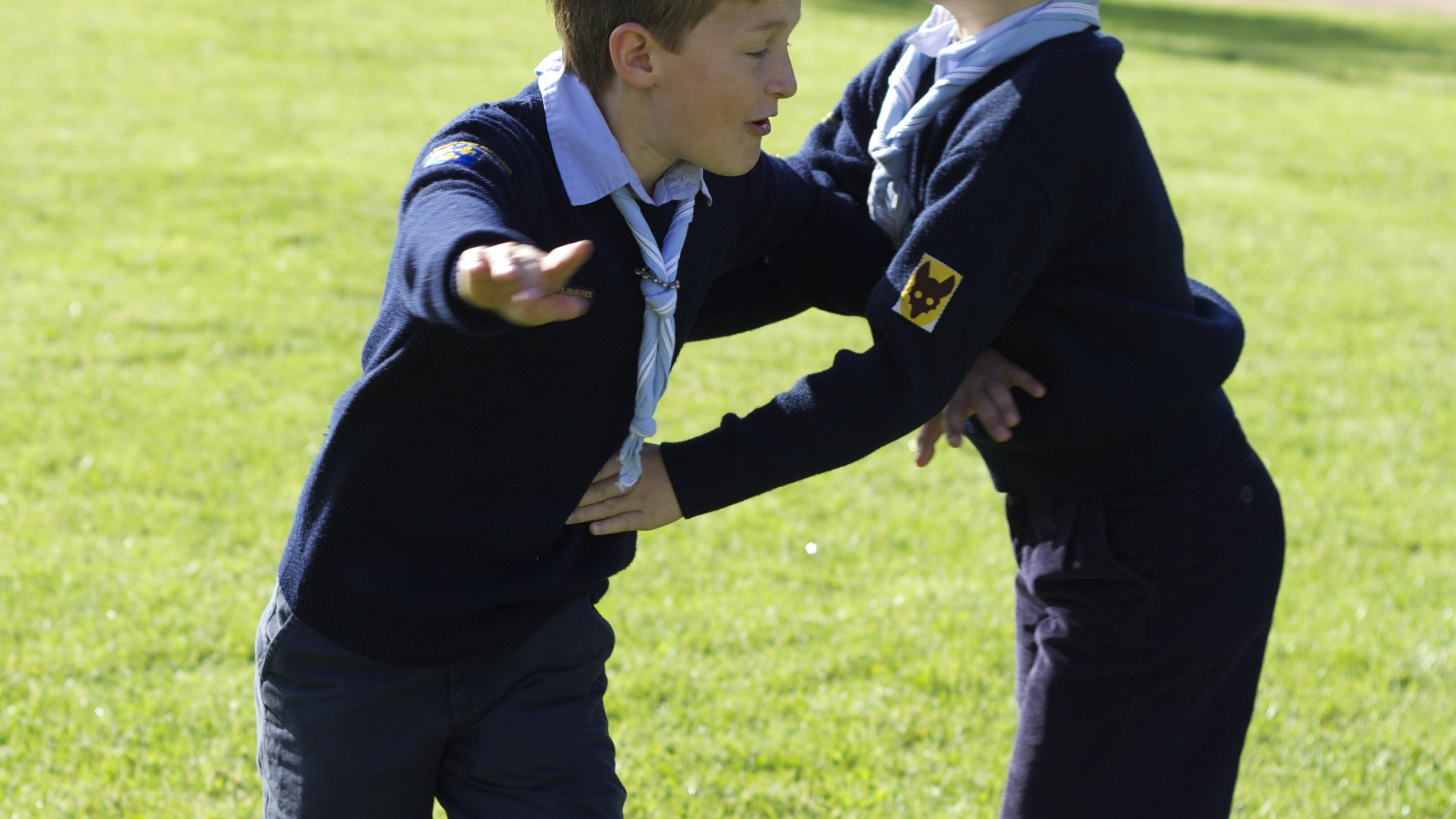 Le Stratego ou Zagamore — LaToileScoute