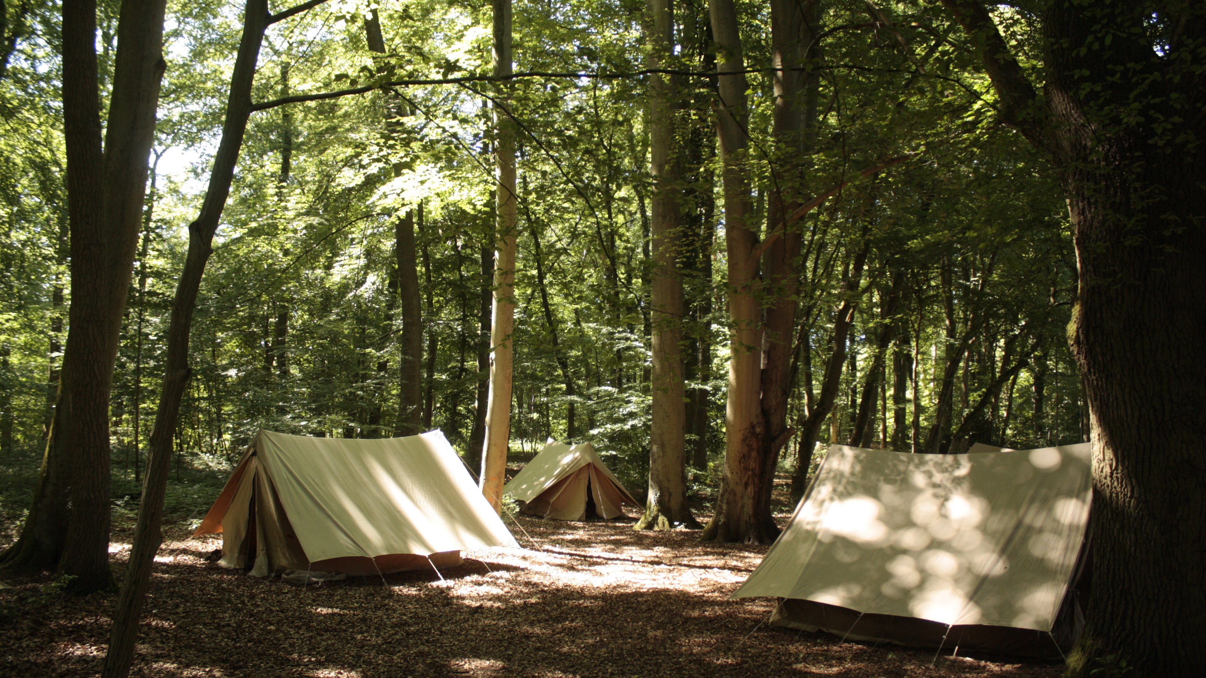 6 méthodes pour trouver un lieu de camp scout — LaToileScoute
